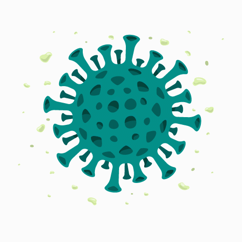 covid – Educandário Imaculada Conceição